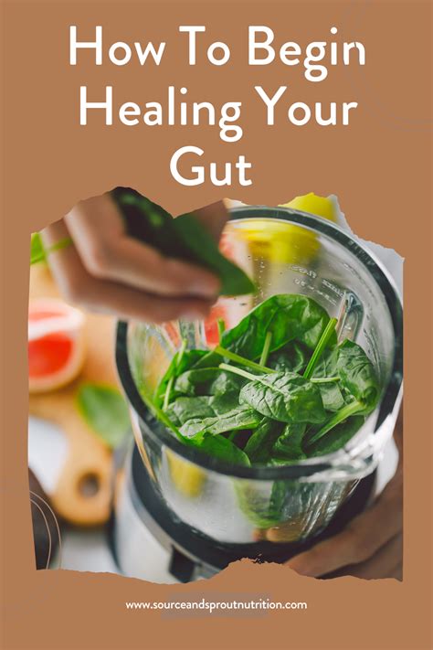 The Best Foods For Healing Your Autoimmune Gut Artofit