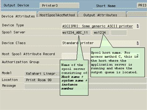 Defining The Output Device In The SAP System