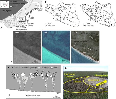 Figure 1 From The Effects Of Crab Bioturbation On Mid Atlantic