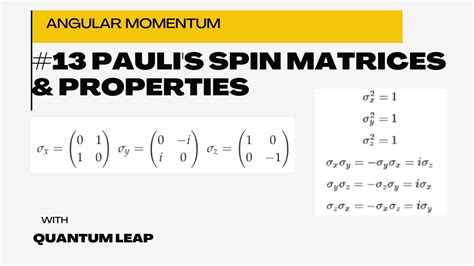 13 Pauli S Spin Matrices Properties YouTube