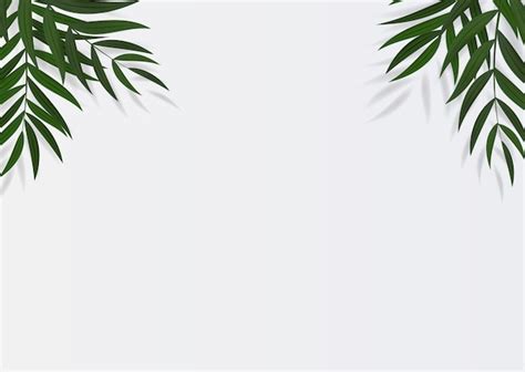 Folha De Palmeira Verde Realista Abstrata Tropical Vetor Premium
