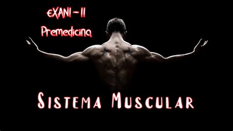 EXANI II Premedicina Sistema Muscular YouTube