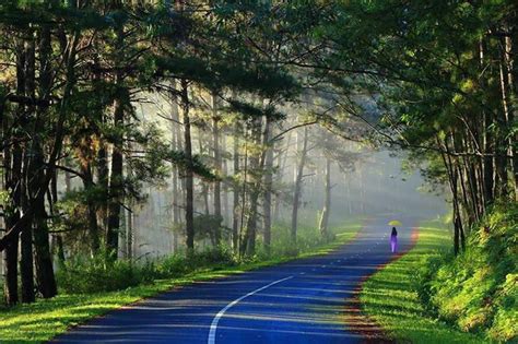 Những hình ảnh đẹp nhất về Đà Lạt đầy thơ mộng và lãng mạn Dịch Vụ