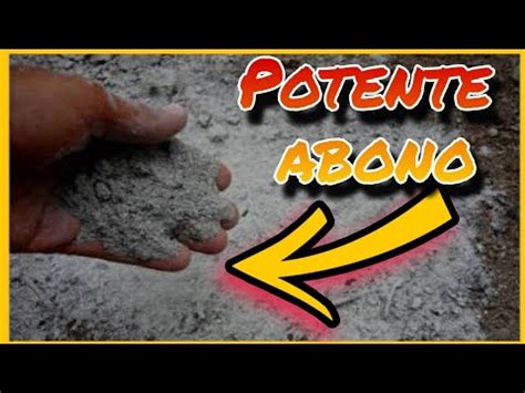 Ceniza potente abono orgánico Beneficios Aplicación y uso YouTube