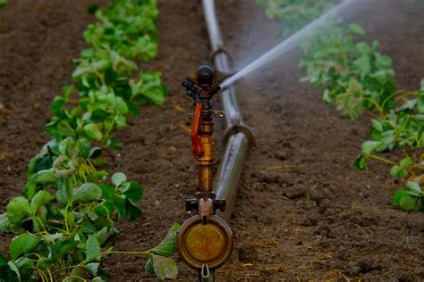 Atlas Irrigação informações sobre agricultura irrigada no Brasil