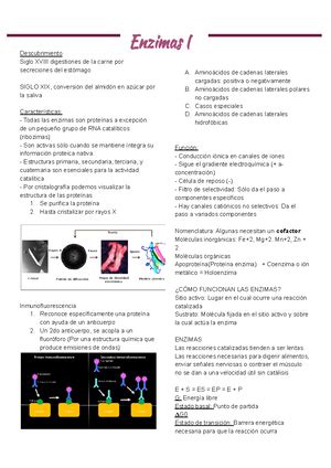 Nch Of Med Biolog A General Studocu