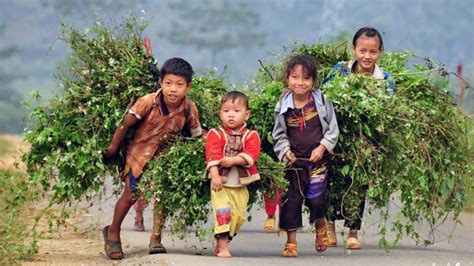 Nét đẹp hồn nhiên của trẻ em vùng cao lay động lòng người Phần 3 năm 2024