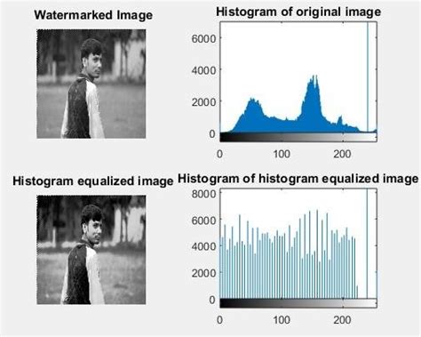 histogram of the watermarked image download scientific diagram