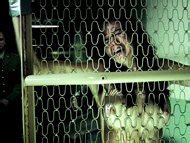Naked Marieh Delfino In Penance