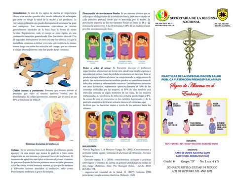 Signos De Alarma En El Embarazo Tr Pticos Alejandro Cruz Udocz