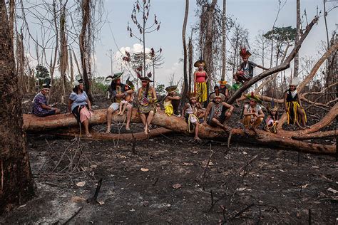 Aumento das invasões das terras indígenas em todo Brasil é alarmante