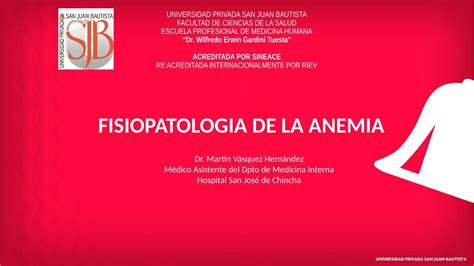 Fisiopatología de la anemia Sofia isabel Carbajal anton uDocz