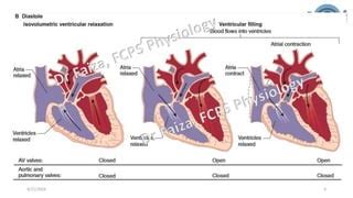 Cardiac Cycle Physiology Wiggers Diagram Pdf