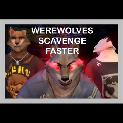 Les Loups Garous Font Les Poubelles Plus Rapidement Pack De Jeu Loups