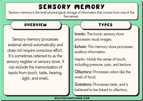 Sensory Memory Examples