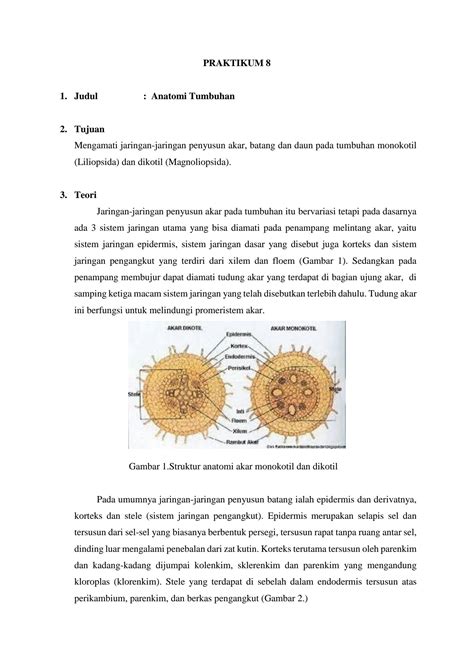SOLUTION Laporan Praktikum Anatomi Tumbuhan Studypool
