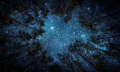 O que significa Sonhar Céu Estrelado no Mundo Espiritual