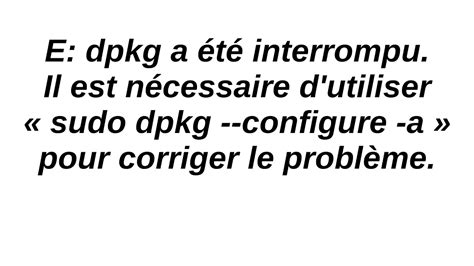 E Dpkg A T Interrompu Il Est N Cessaire D Utiliser Sudo Dpkg