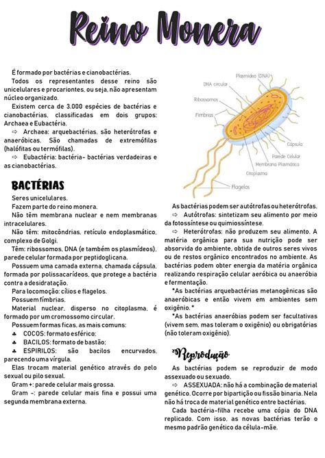 Mapa Mental Sobre Reino Monera Study Maps Artofit