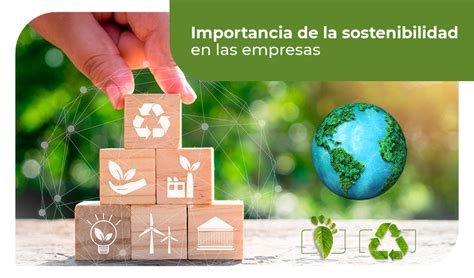 La sostenibilidad en las empresas su importancia y cómo mejorarla