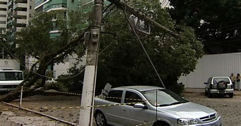 G1 Árvore cai derruba poste e atinge carros em rua de Vitória
