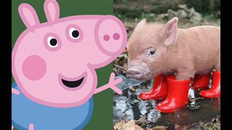 TODOS OS PERSONAGENS DA PEPPA PIG NA VIDA REAL PEPPA GEORGE MAMÃE