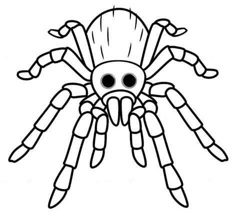 Desenhosorg Desenhos Para Colorir Desenho De Aranha Desenhos Porn Sex