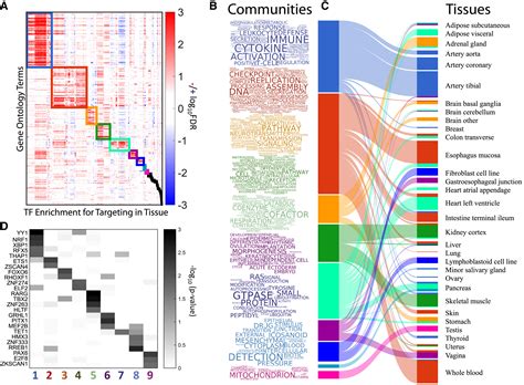 understanding tissue specific gene regulation cell reports