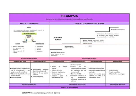 Historia Natural De La Enfermedad Eclampsia Angela Arredondo