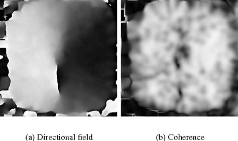 figure 4 9 from fingerprint identification feature extraction matching and database search