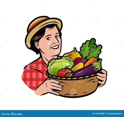 Beautiful Woman With A Basket Of Fresh Vegetables Retro Vector
