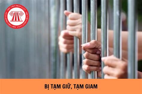 Trường hợp con bị tạm giữ tạm giam thì cha mẹ già yếu sẽ được ai chăm sóc