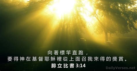 2023年2月21日 每日聖經金句 腓 立 比 書 3 14 DailyVerses net