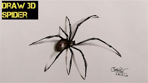Draw D Spider How To Draw Realistic Spider D Drawing Trick Youtube
