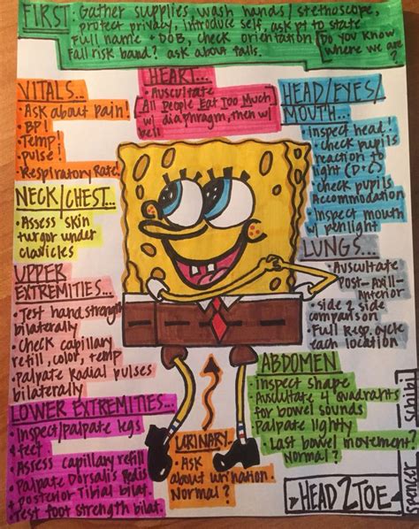 Head To Toe Assessment Nursing School Survival Nursing School Tips