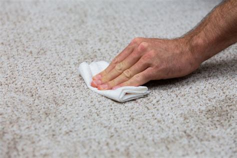 Comment nettoyer un tapis pour prolonger sa durée de vie Conseils et