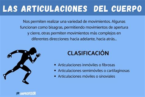 Nombres De Las ARTICULACIONES Del Cuerpo Humano Y Tipos