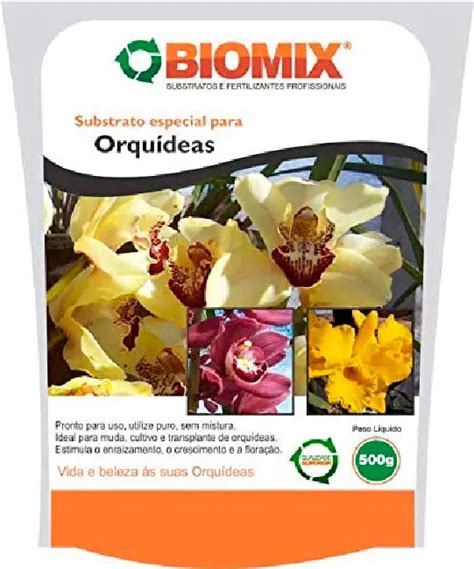 Como Cuidar de Uma Orquídea 15 Dicas Úteis e Essenciais