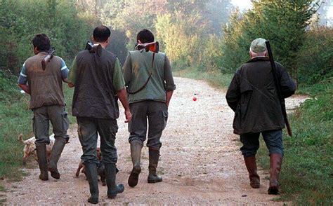 Une pétition pour interdire la chasse le dimanche