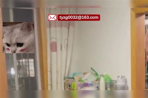 夫妻俩在孩子面前秀恩爱儿子看不惯一番唇枪舌战后败下阵服气