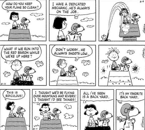 Pin By Susan Stewart On Snoopy And The Gang 5 Snoopy Funny