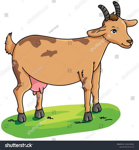 Vector Illustration Goat Isolated On White Stock Vector Royalty Free