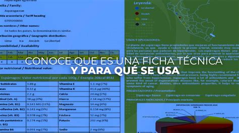 Conoce Que Es Una Ficha T Cnica Y Para Qu Se Usa Inseroca Internacional