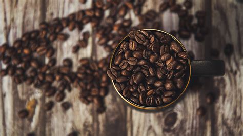 Descubre los secretos de la infusión perfecta Consejos y trucos para