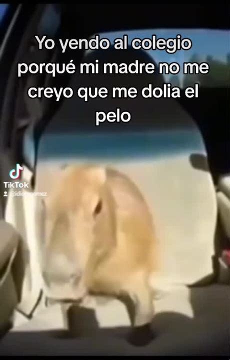 Me Paso Meme Subido Por ELPAPADETUPAC 08 Memedroid