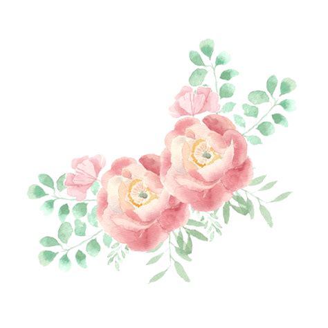 Vintage Pink Peony Watercolor Flower Arrangement Free Png And Psd