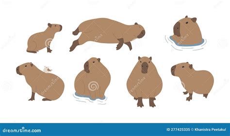 Capybara Cute Cartoon Poses Vector Illustration Set Cartoondealer