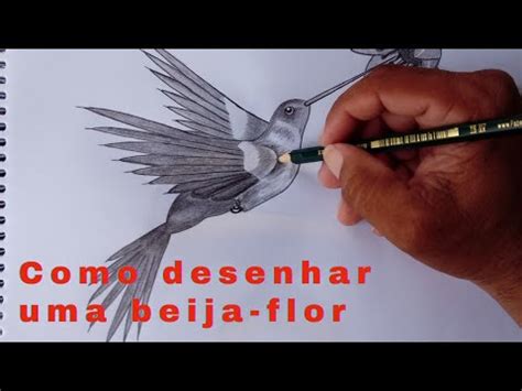 como desenhar uma beija flor passo à passo YouTube
