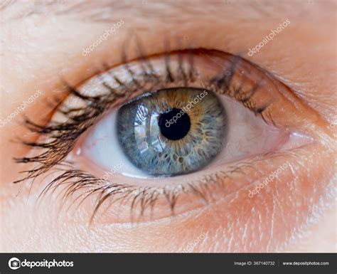Beautiful Woman Eye Close Stock Photo By Leo Nik 367140732