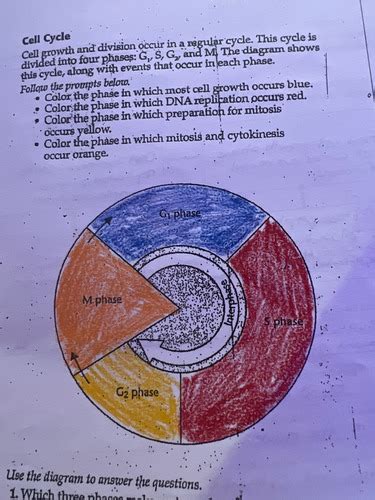 Biology Unit Mitosis Flashcards Quizlet